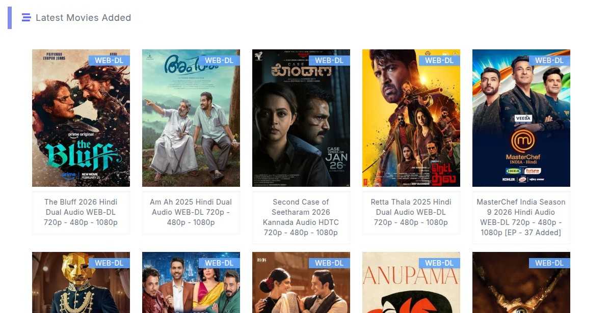 Bolly4u Hub Review: What You Should Know Before Clicking Download